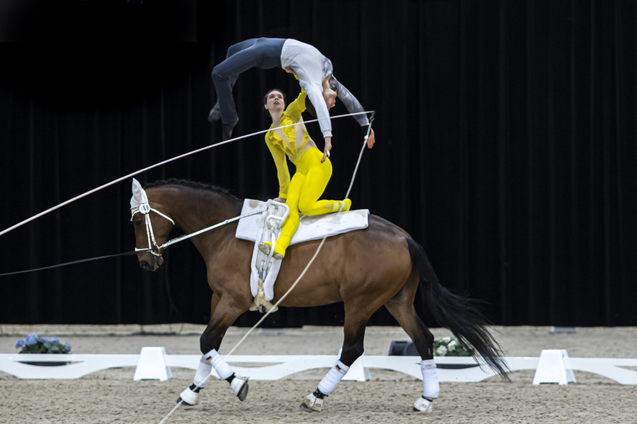 Voltigieren jetzt entdecken